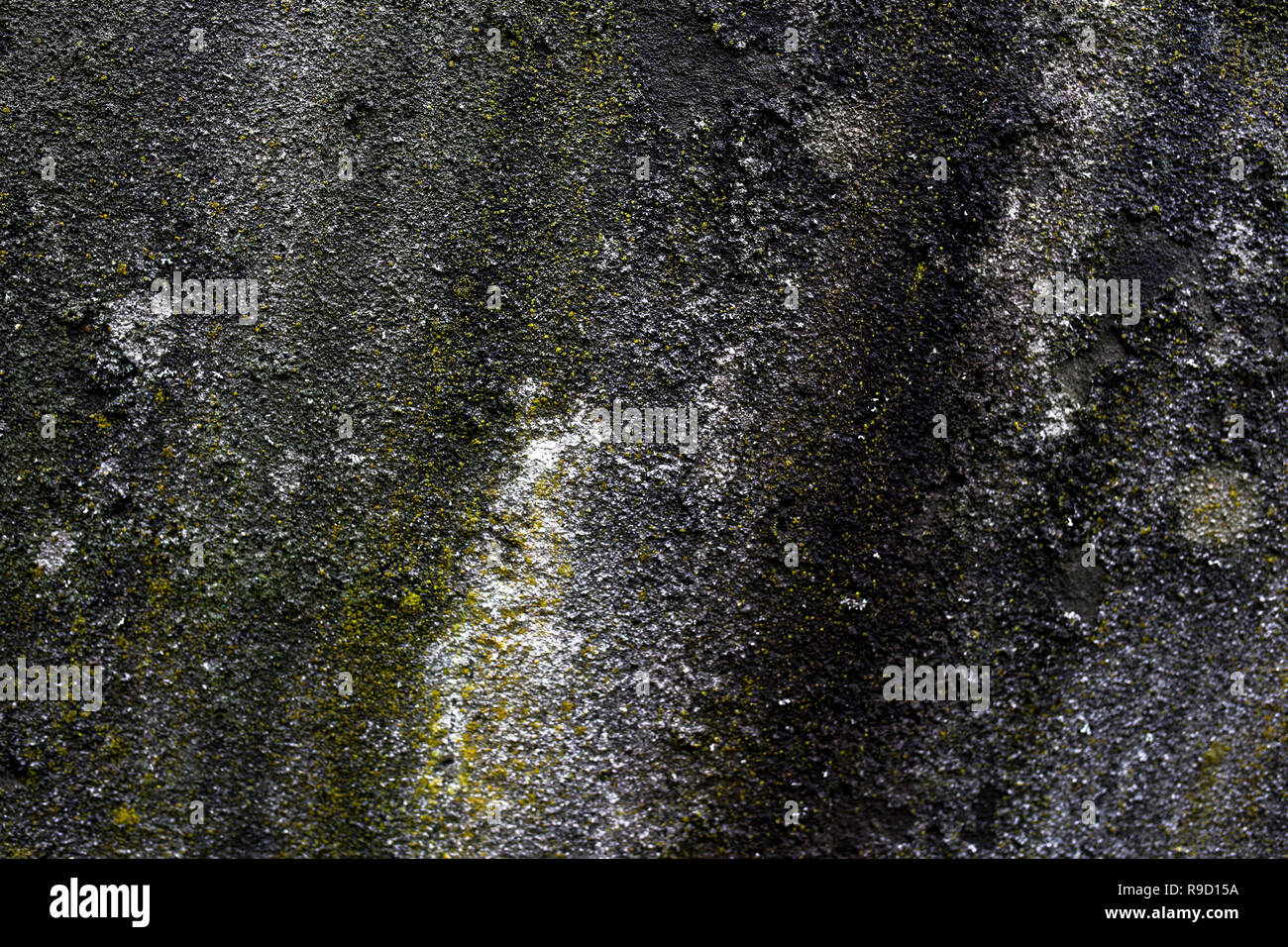 rough gray color wall texture. background for design Stock Photo - Alamy