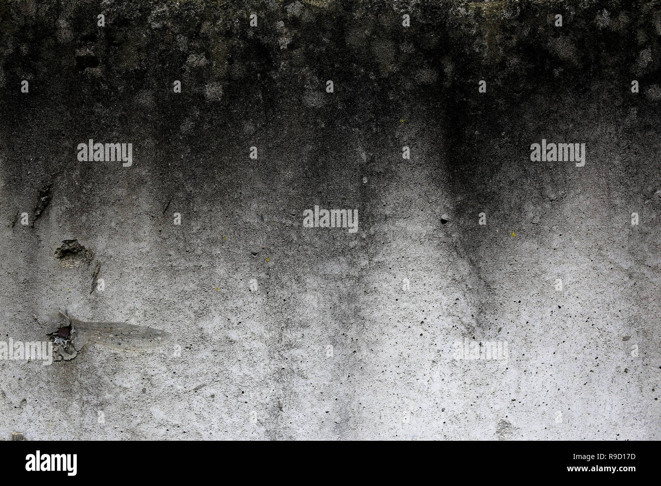 rough gray color wall texture. background for design Stock Photo - Alamy