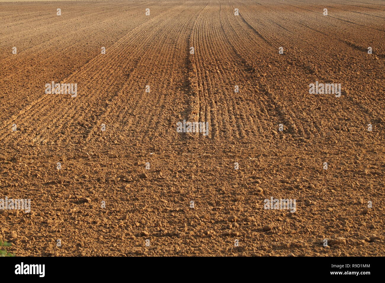 Field winter wheat aerial hi-res stock photography and images - Alamy