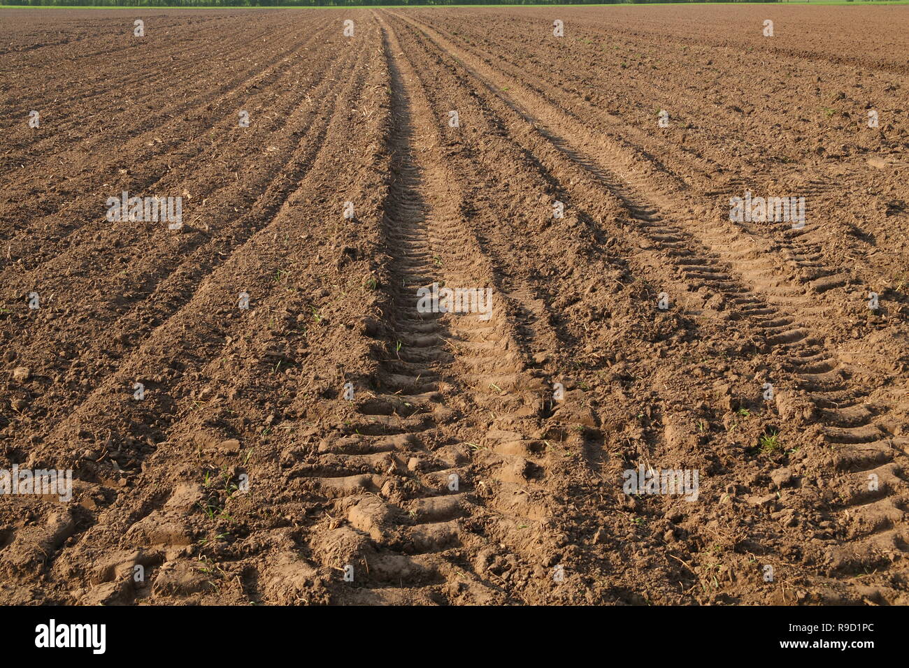 Rows in a field Stock Photo - Alamy