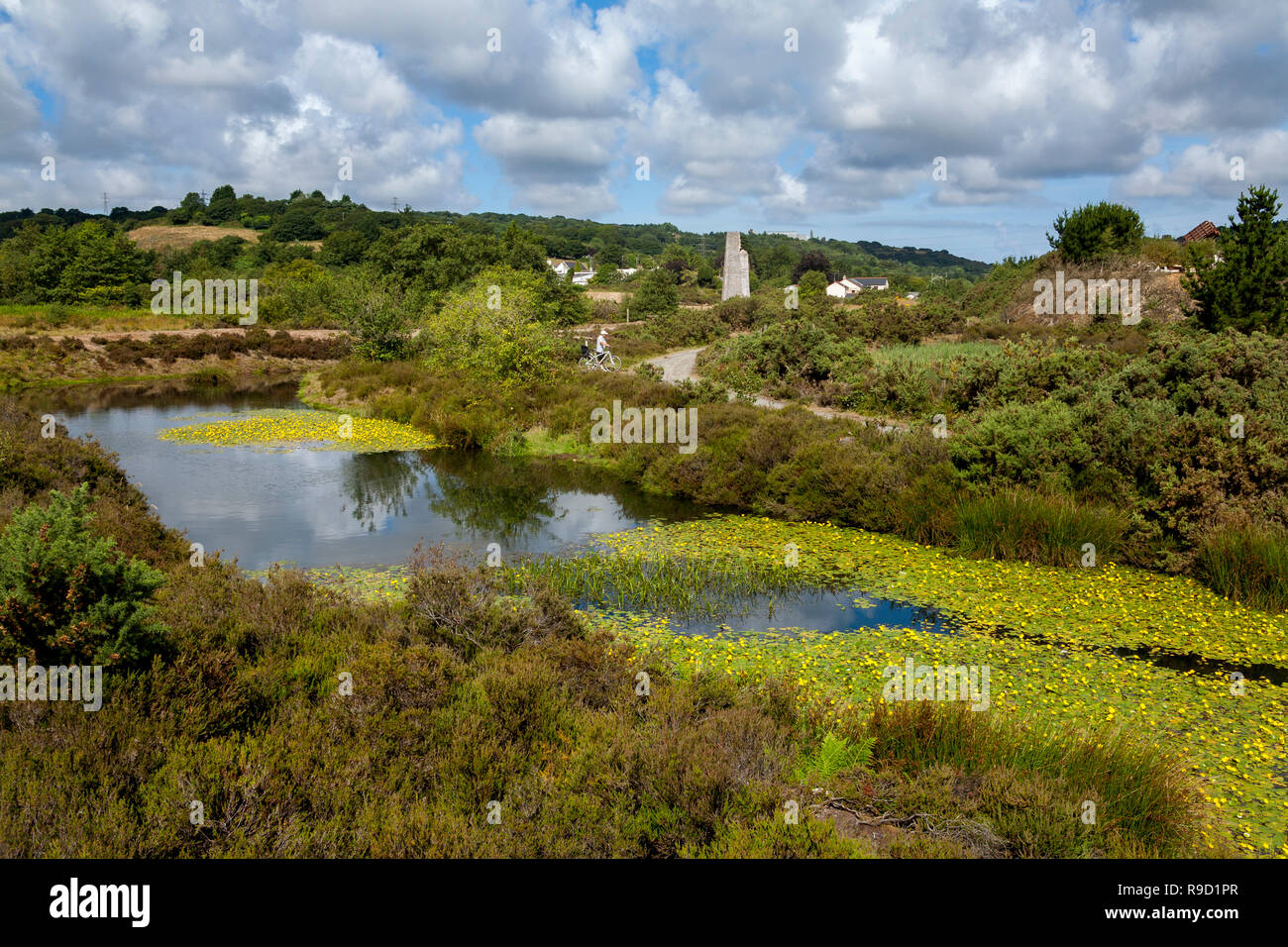 Bissoe Valley; cornwall; UK; pond Stock Photo - Alamy