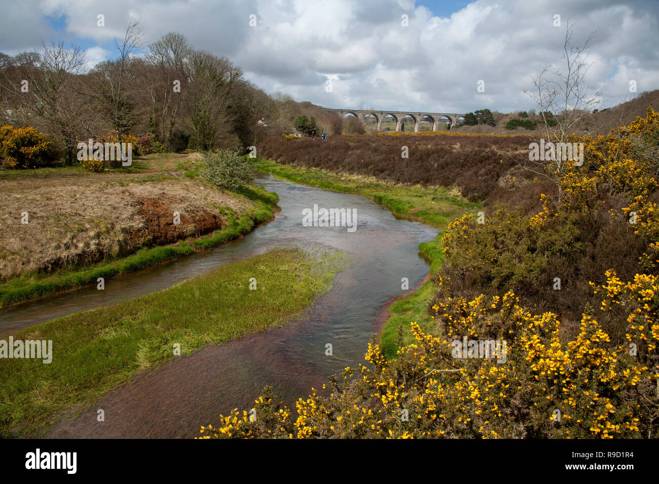 Carnon river cornwall hi-res stock photography and images - Alamy
