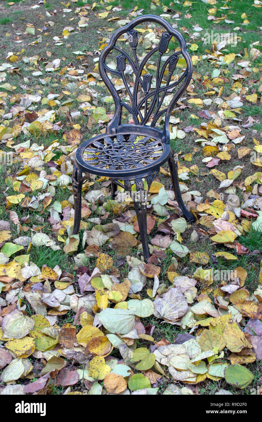 Chair and leaves hi-res stock photography and images - Alamy
