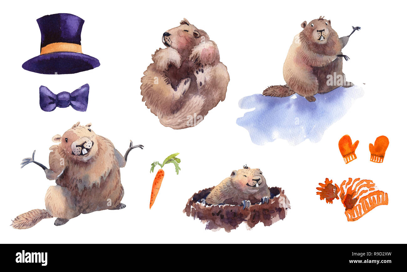 Happy Groundhog Day - hand drawn watercolor collection illustrations ...