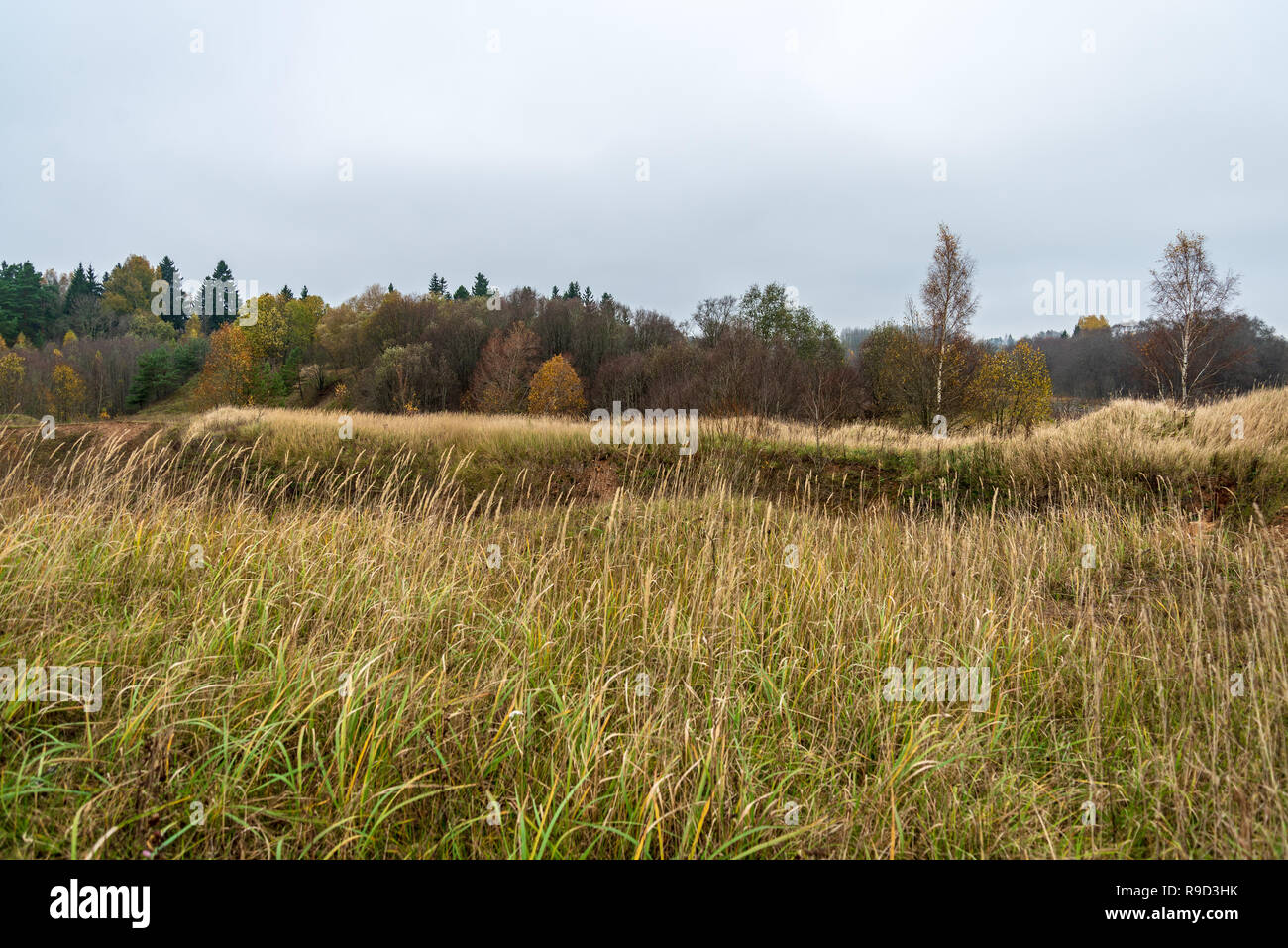 empty countryside landscape in autumn with fields and meadows and rare ...