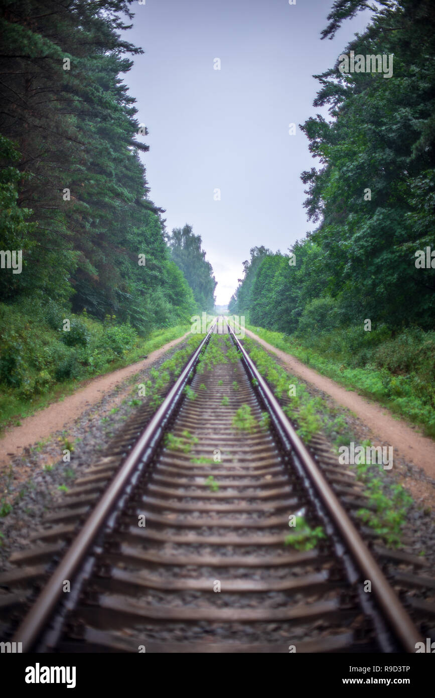 railroad tracks in misty forest with green foliage and perspective ...
