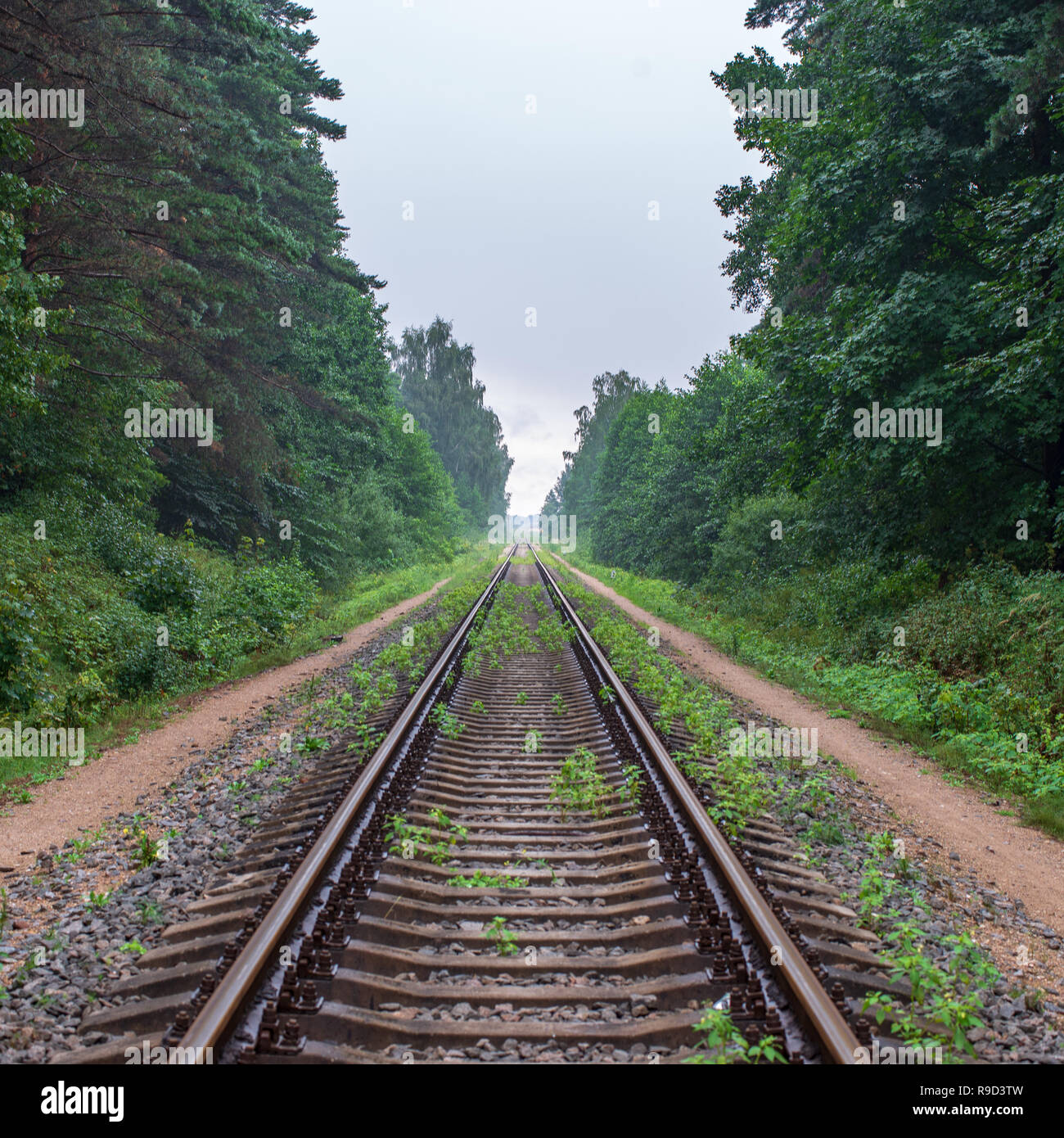 Misty Railroad Tracks High Resolution Stock Photography and Images - Alamy