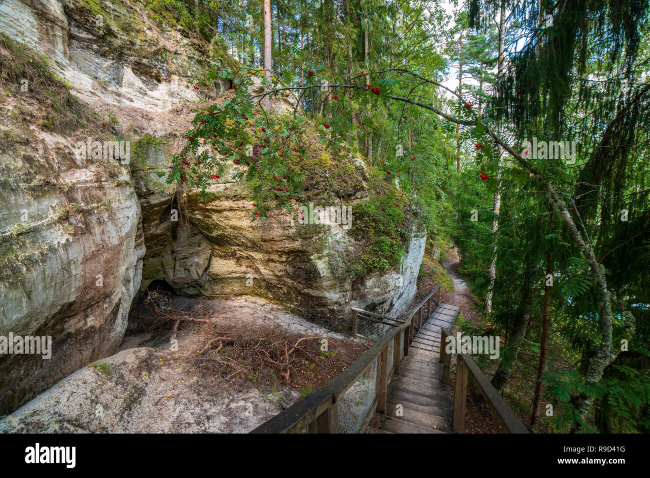 tourist trail with wooden pathwalk and stairs near sandstone cliffs ...