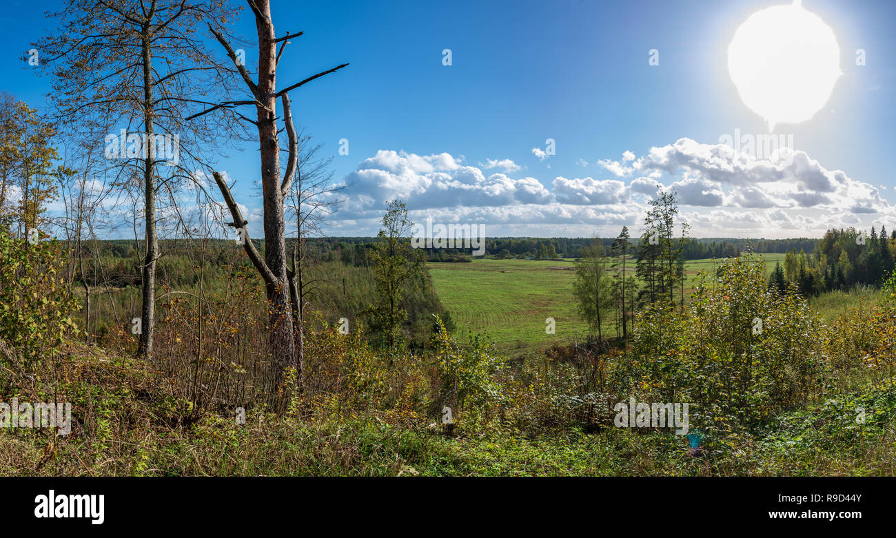 sunset in swamp area with empty sky and red colors Stock Photo - Alamy