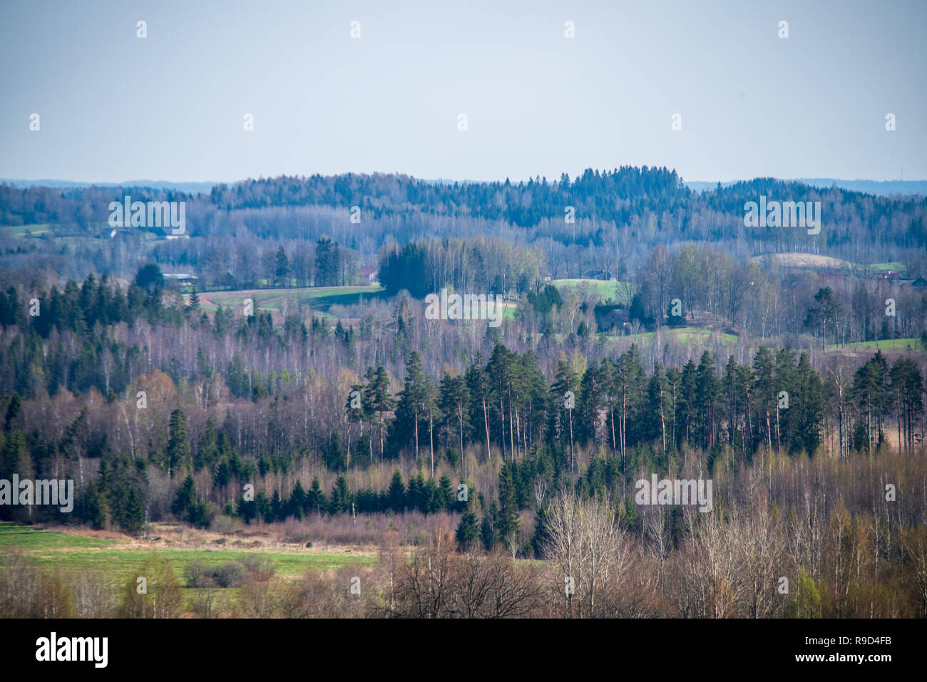 empty countryside landscape in autumn with fields and meadows and rare ...
