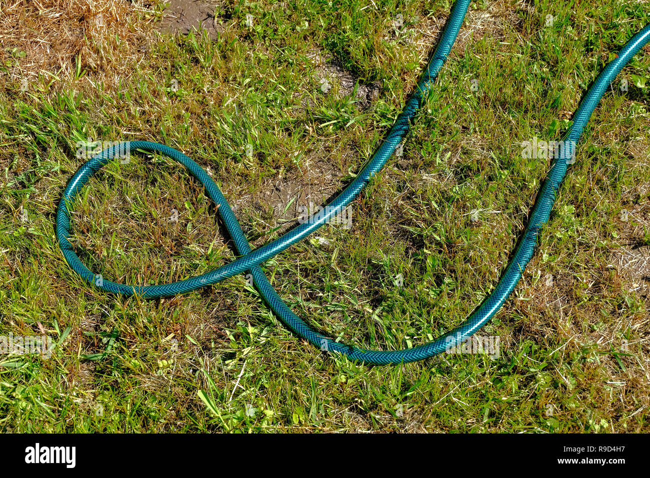 green water pipe laying on green grass. made of rubber Stock Photo - Alamy