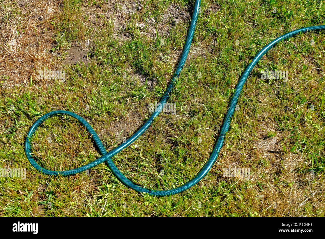 green water pipe laying on green grass. made of rubber Stock Photo - Alamy