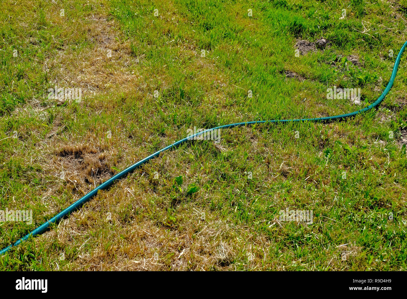 green water pipe laying on green grass. made of rubber Stock Photo - Alamy