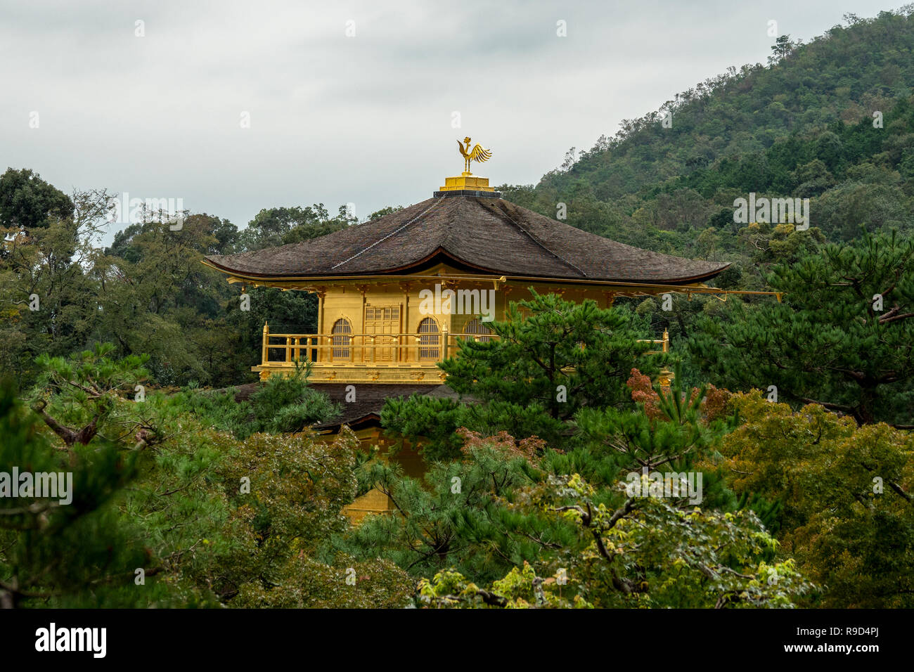Japans most famous temple hi-res stock photography and images - Alamy