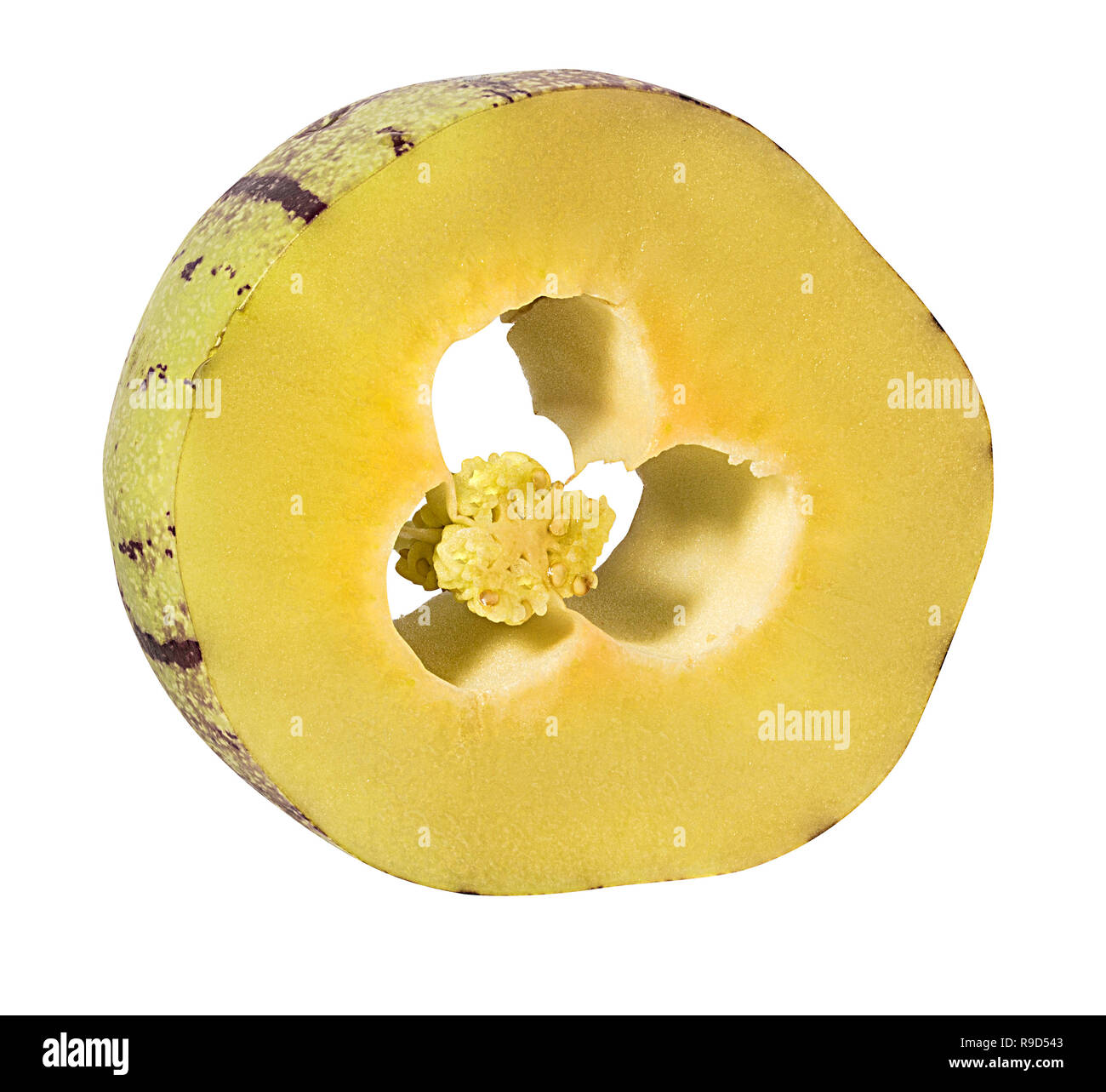 Pepino melon fruit isolated on white background. Clipping Path Stock ...