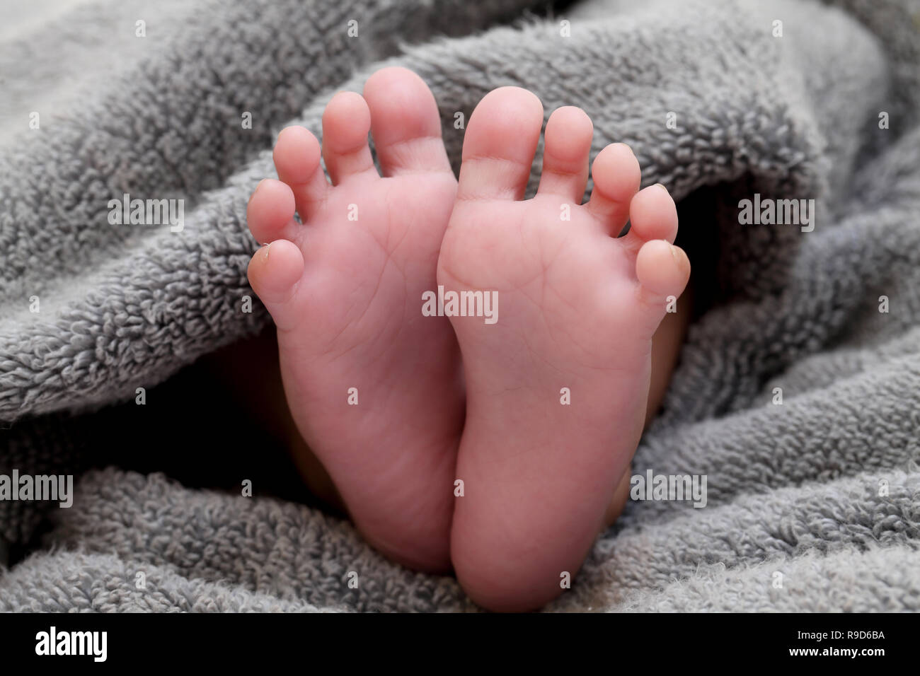 Tiny feet of newborn baby Stock Photo - Alamy