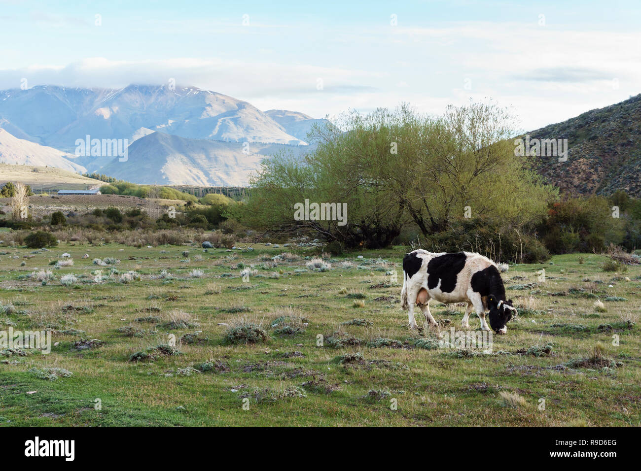 Andes mountains in chubut hi-res stock photography and images - Alamy