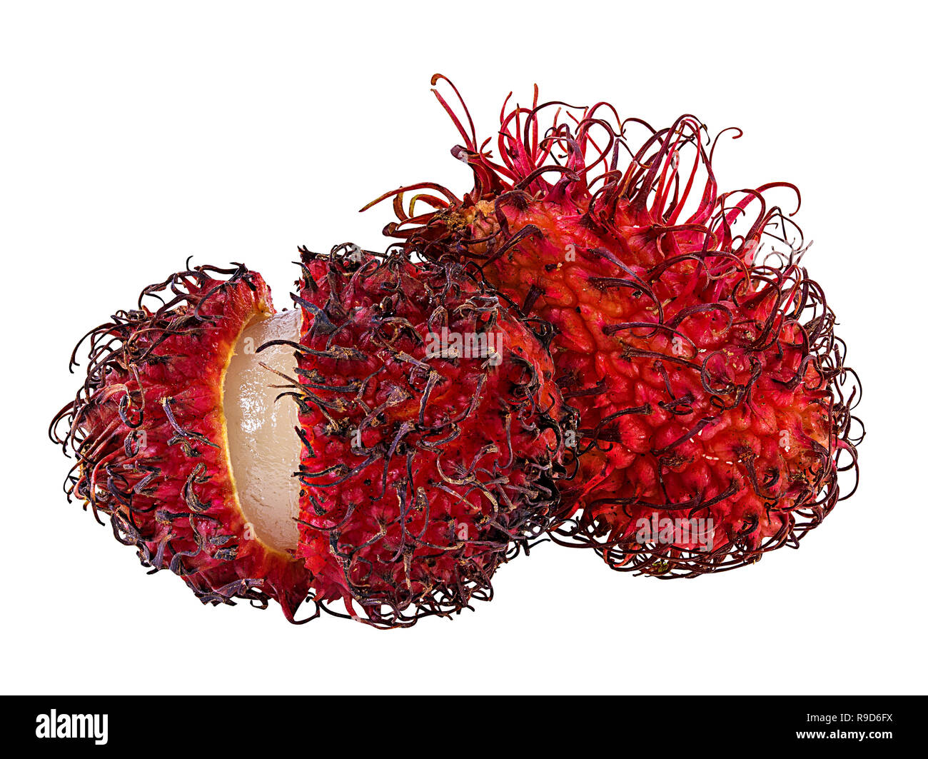 rambutan isolated on the white background Stock Photo - Alamy