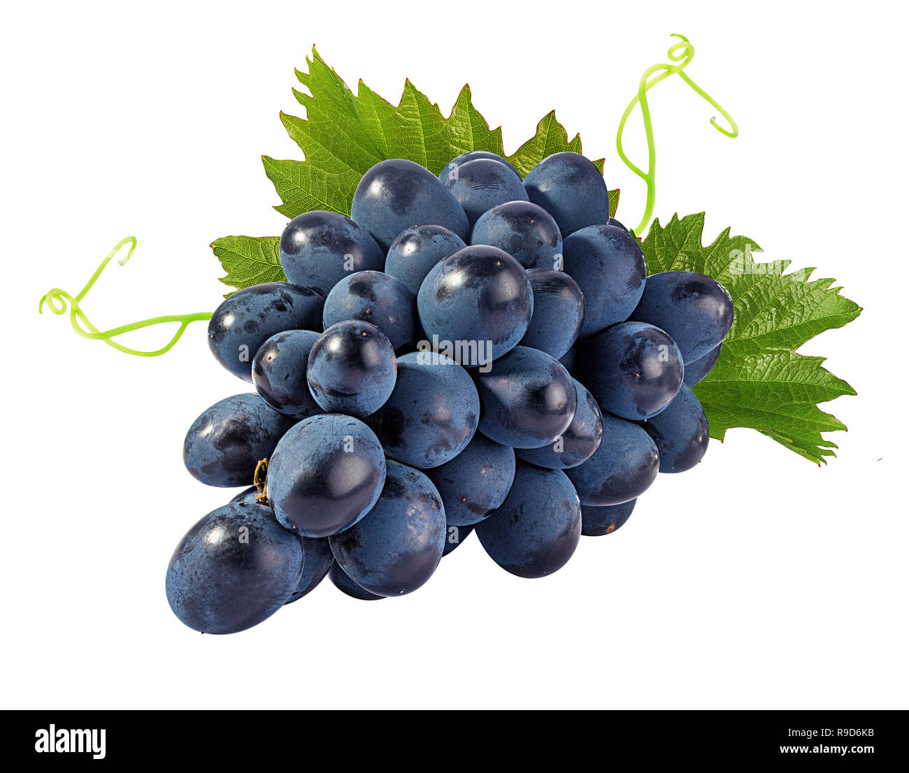 Fresh grapes isolated on white background Stock Photo - Alamy