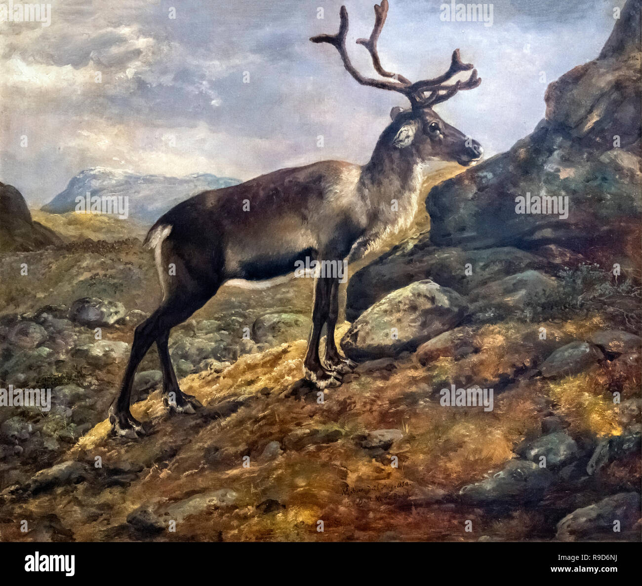 Study of a Reindeer by J C Dahl (Johan Christian Claussen Dahl: 1788 ...