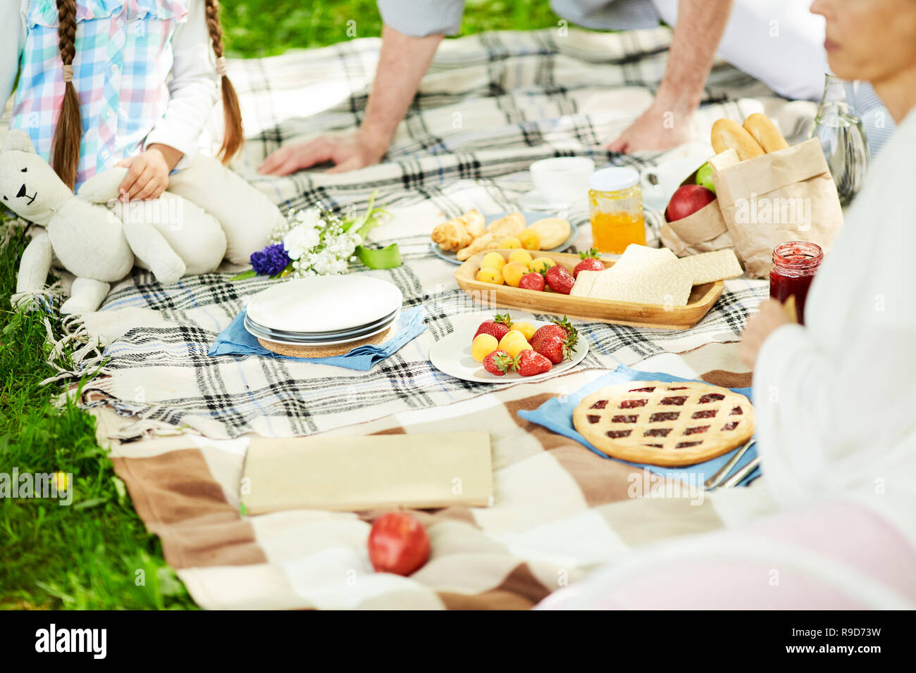 Family picnic park together hi-res stock photography and images - Alamy