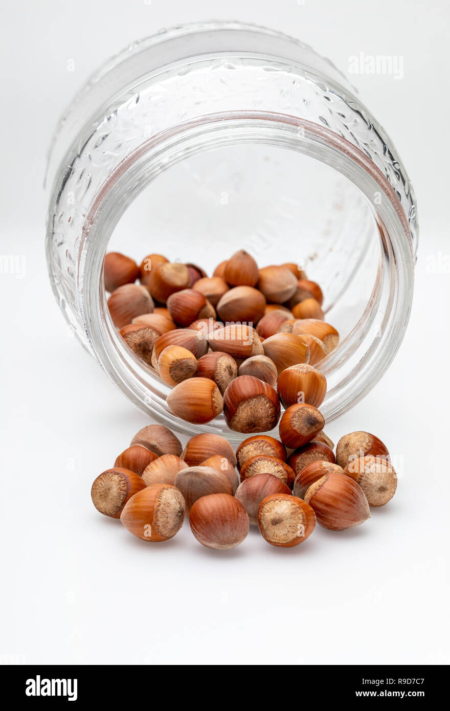 Hazelnuts in glass jar. Isolated on white background Stock Photo - Alamy