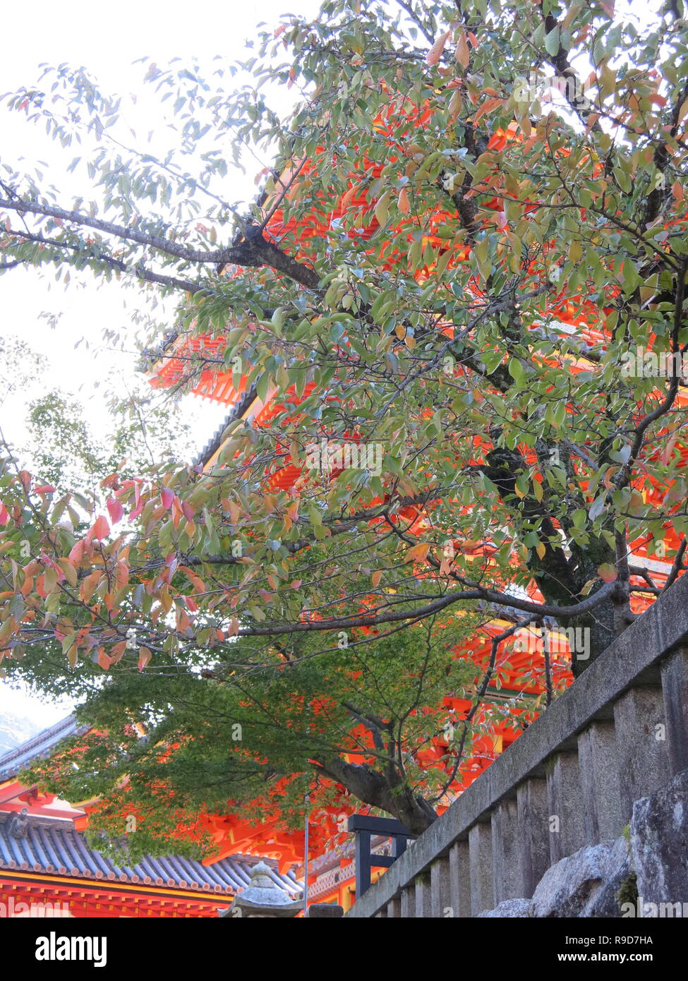 View of the three-storied Koyasu pagoda at Kiyomizu-dera Buddhist ...