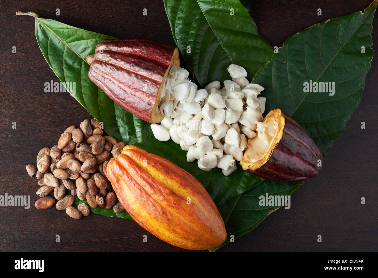 Dry and fresh cacao seeds on wood table above top view Stock Photo - Alamy