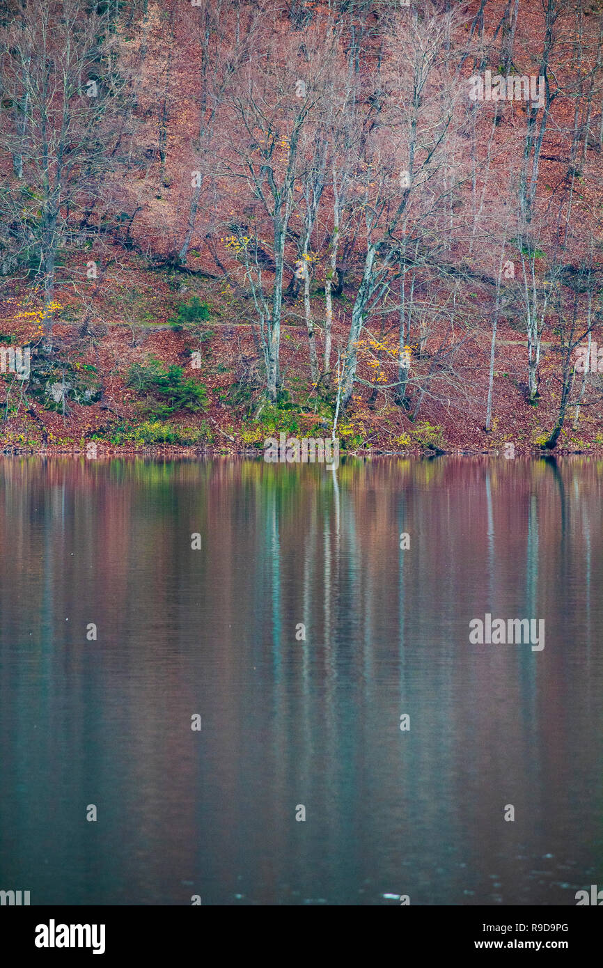 Magical pattern woods reflected on water in autumn day, Plitvice ...