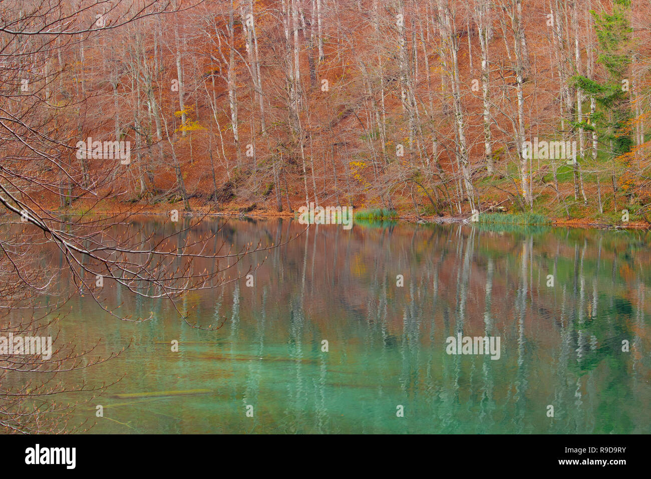 Lakes of magical colors hi-res stock photography and images - Alamy