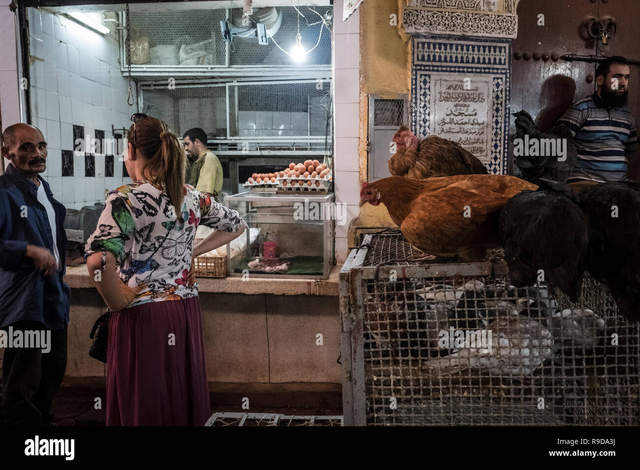 Fez Medina Chicken High Resolution Stock Photography and Images - Alamy