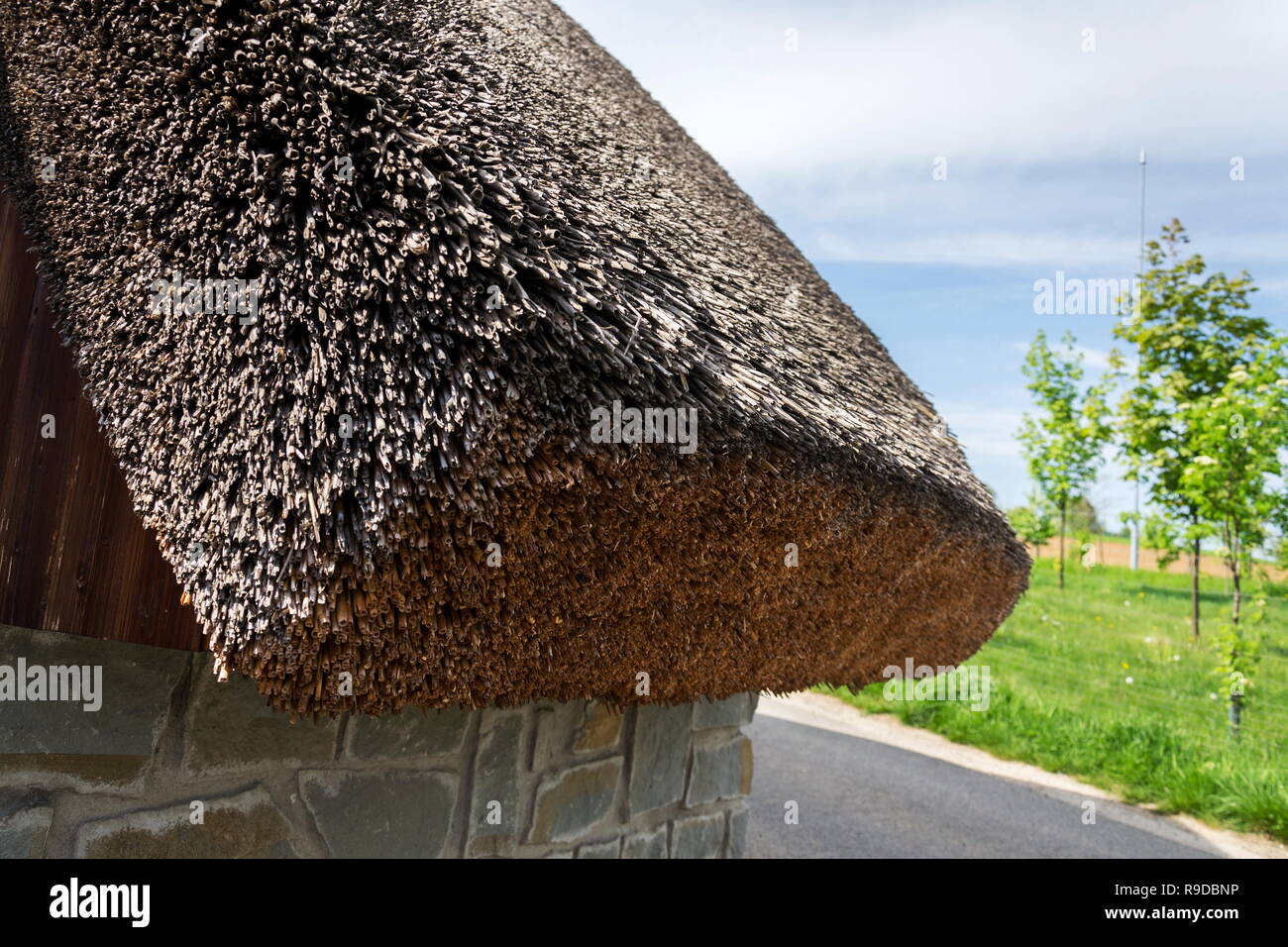 Traditional thatched roof from reed, sunny summer day Stock Photo - Alamy