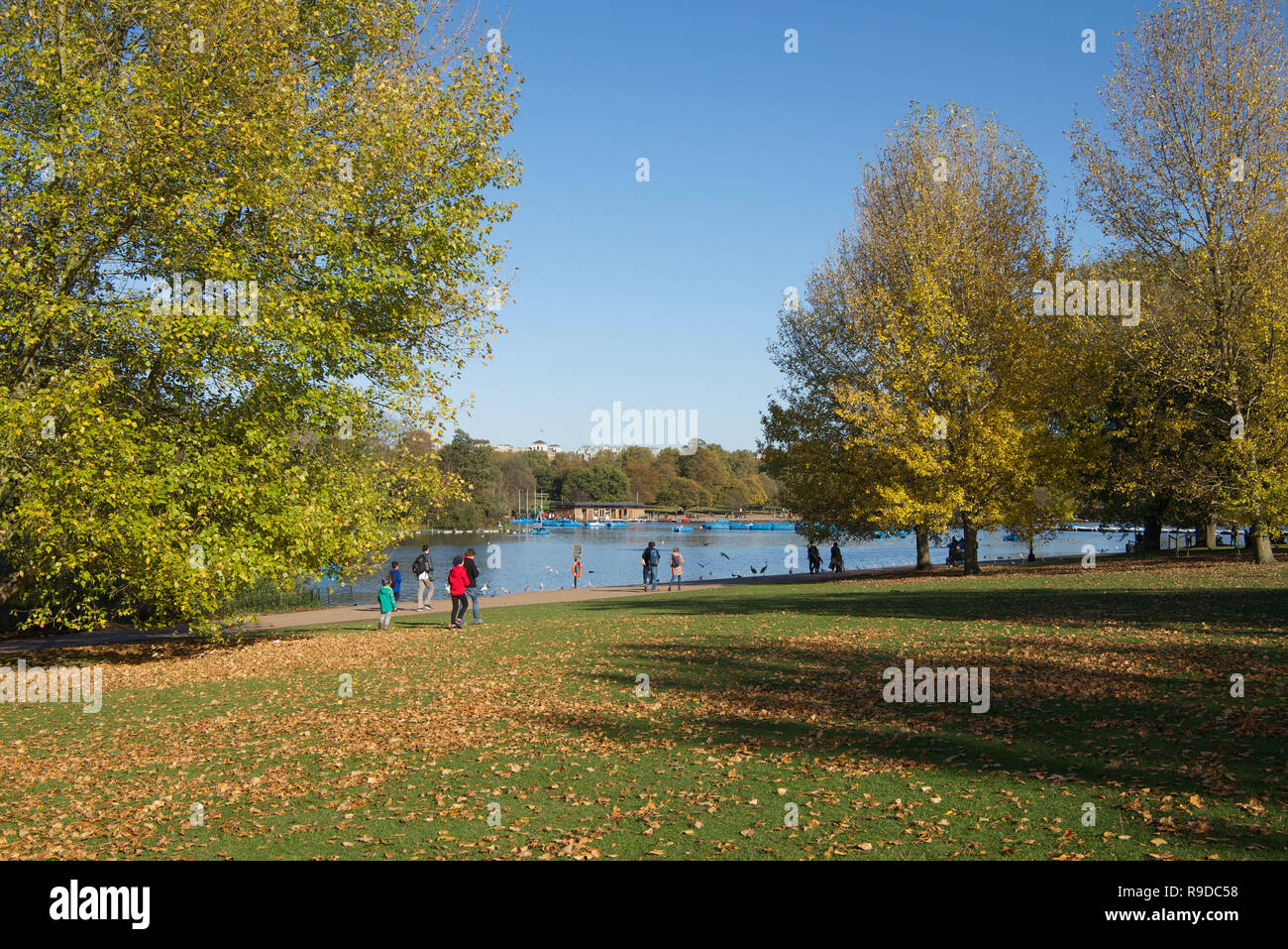 Boating lake in autumn colours The Serpentine Hyde Park London England ...