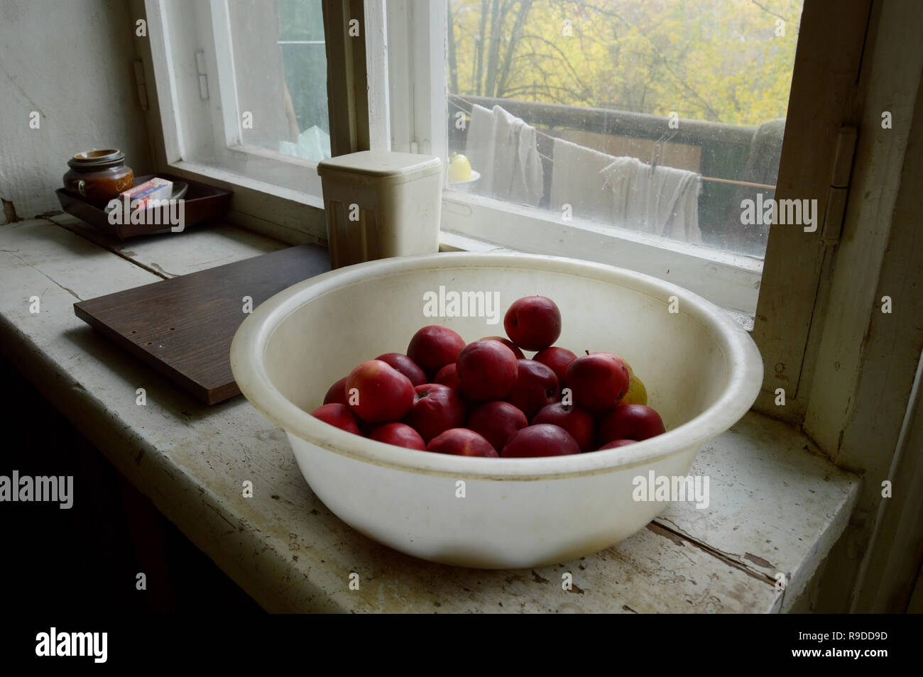 Kovrov, Russia. 4 October 2016. Basin with apples variety Zvezdochka ...