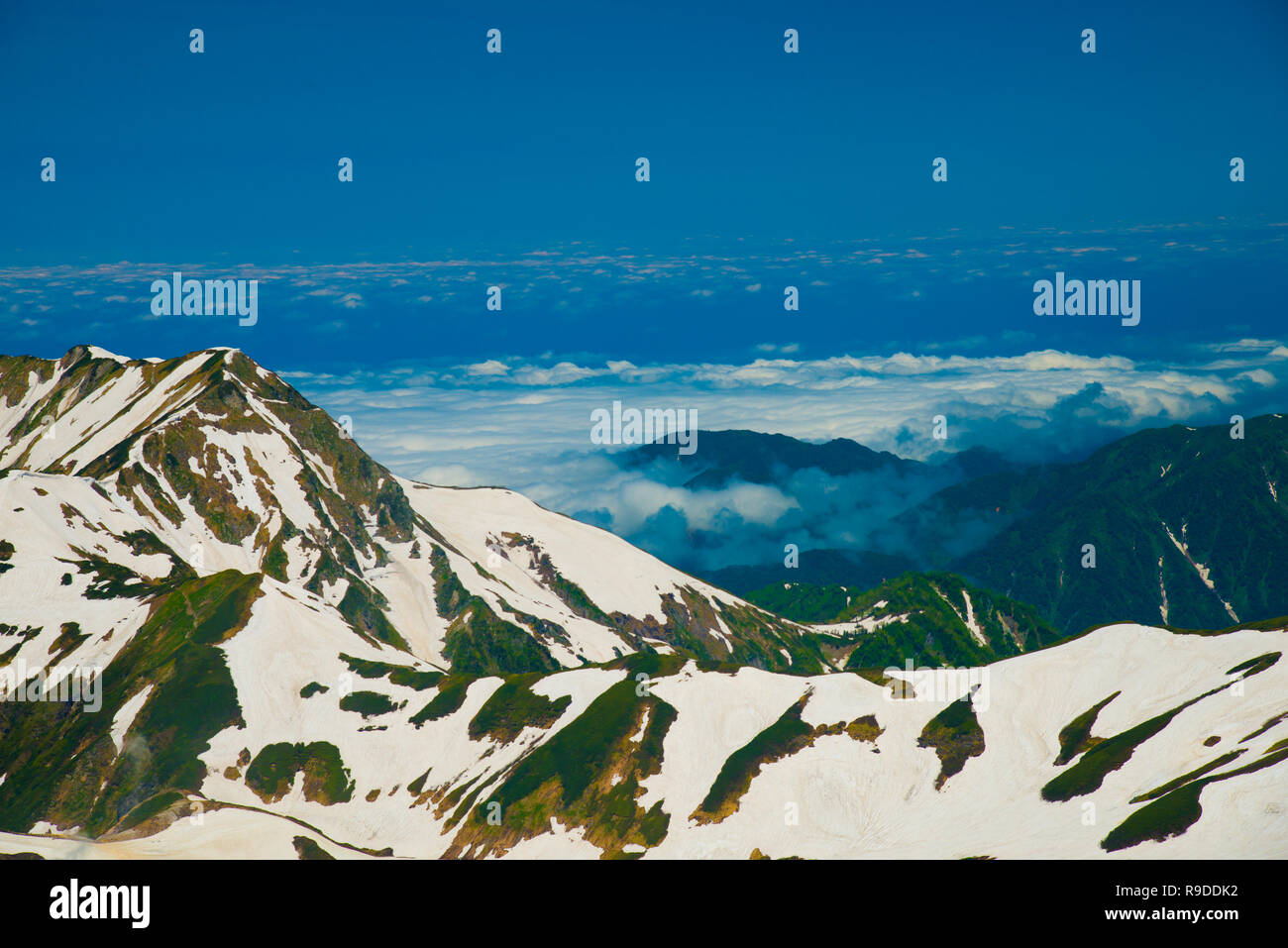 Tree no one to visit the mountains hi-res stock photography and images ...