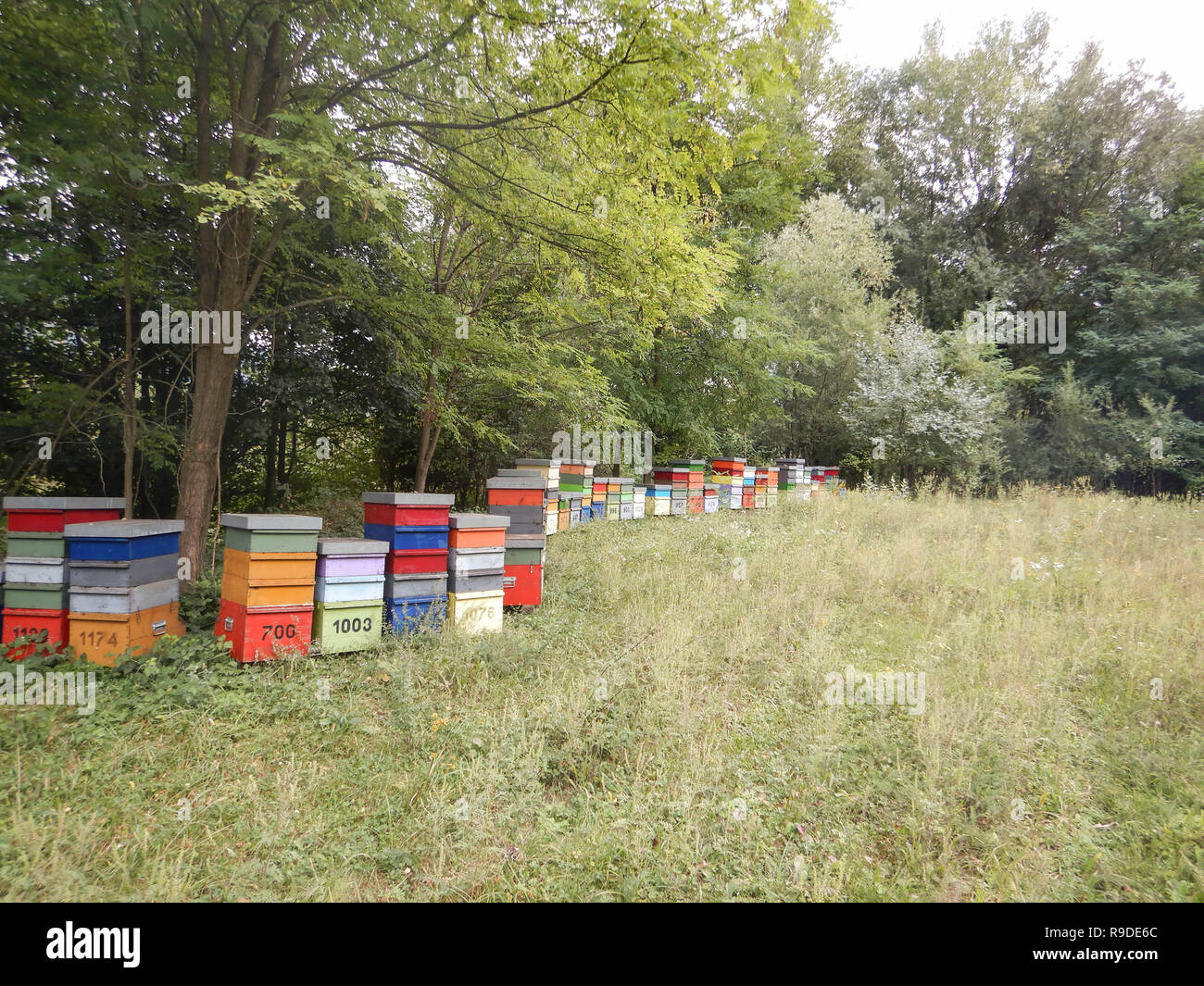Some hives for the breeding of bees Stock Photo - Alamy