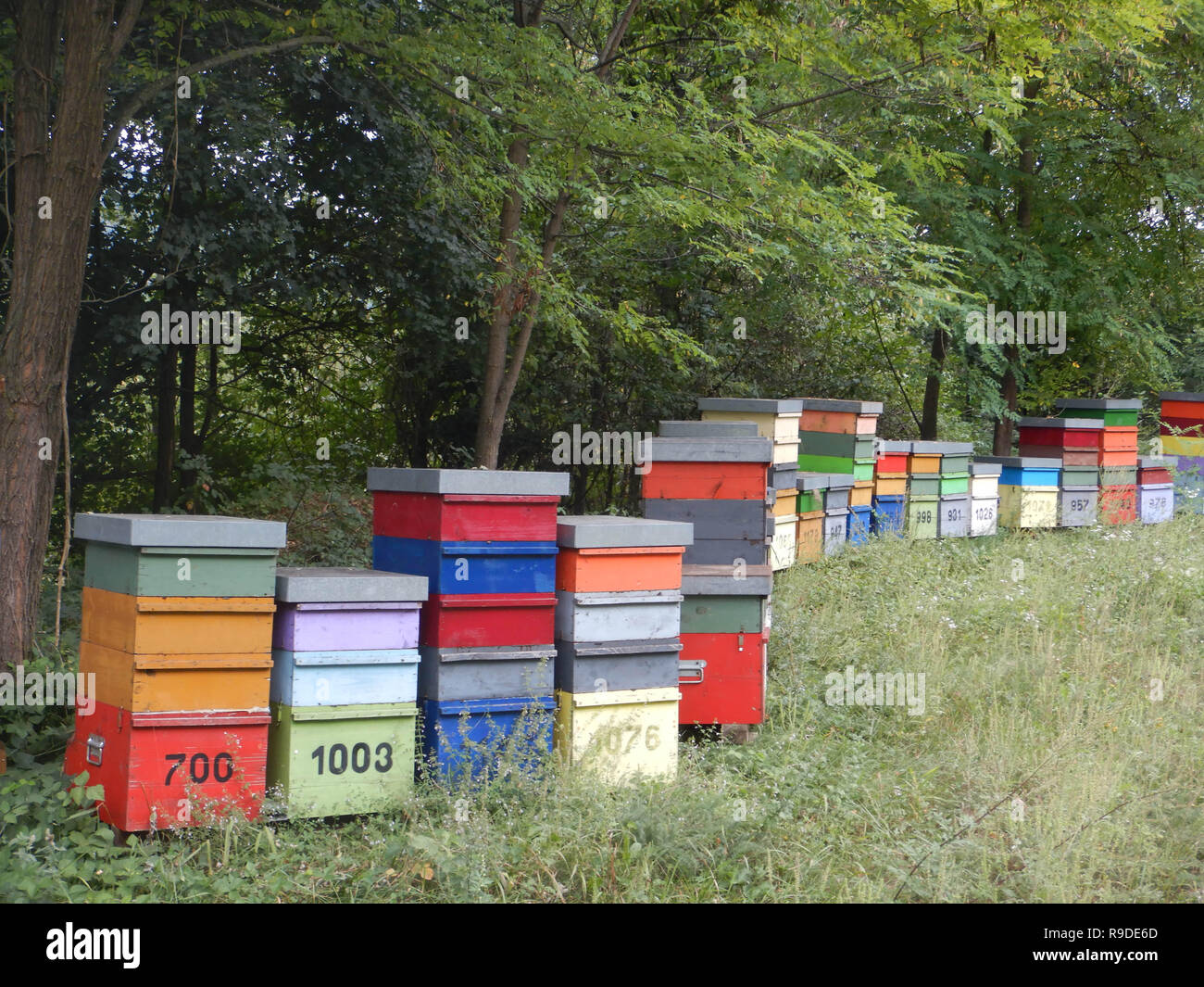 Some hives for the breeding of bees Stock Photo - Alamy
