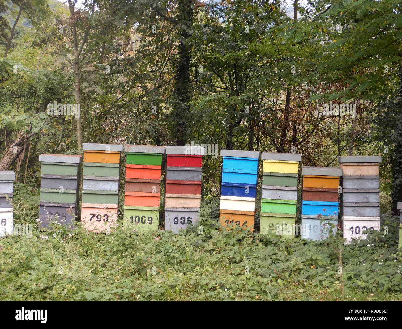 Some hives for the breeding of bees Stock Photo - Alamy