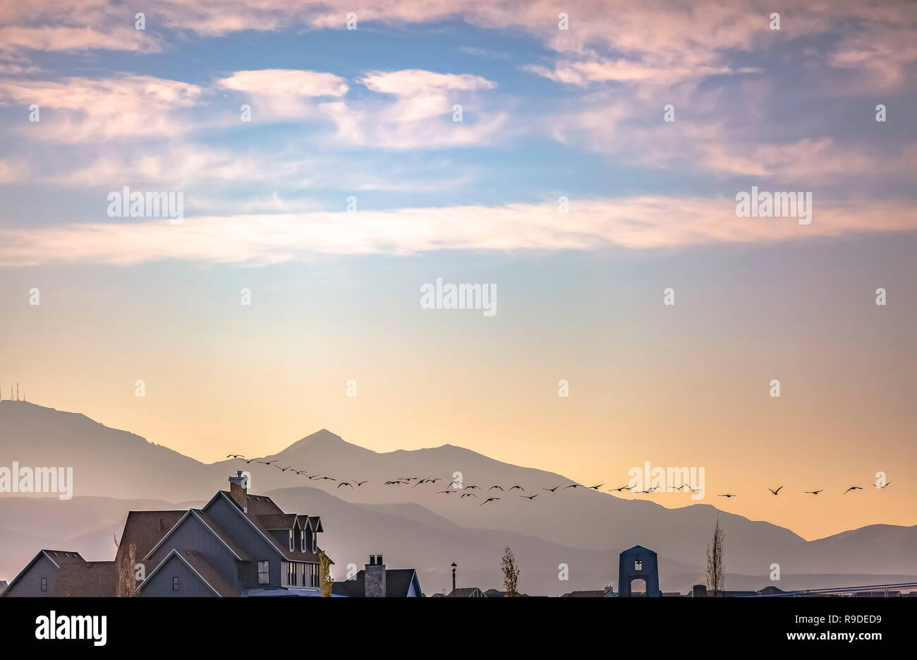 Spectacular sky with flock of birds flying in line Stock Photo - Alamy