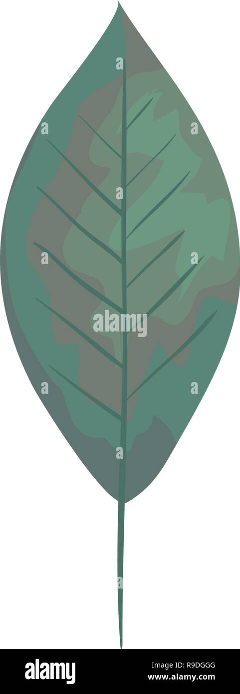 ecology leaf plant icon Stock Vector Image & Art - Alamy