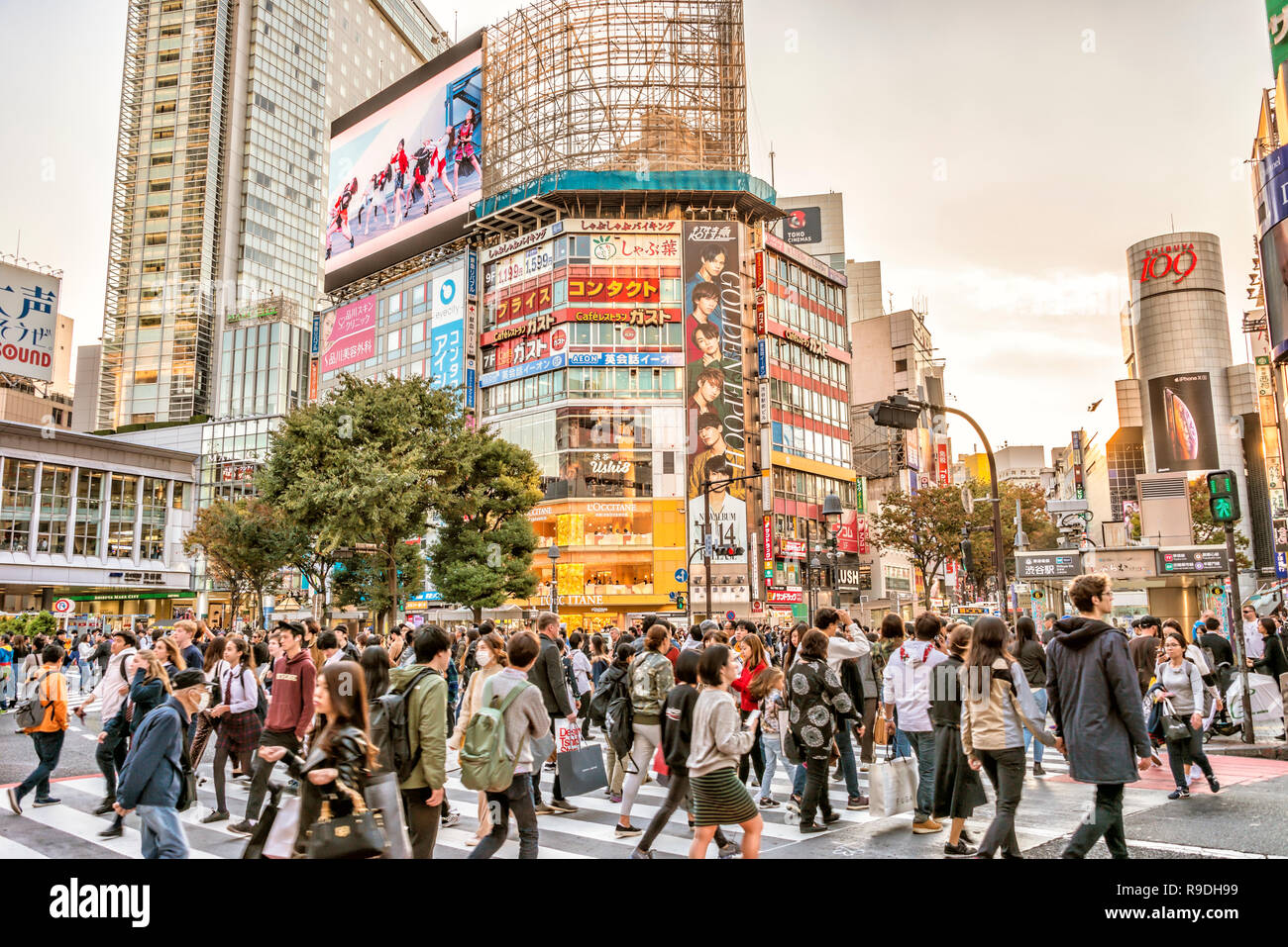 Shibuya Crossing, Downtown Tokyo, Japan Stock Photos & Shibuya Crossing ...
