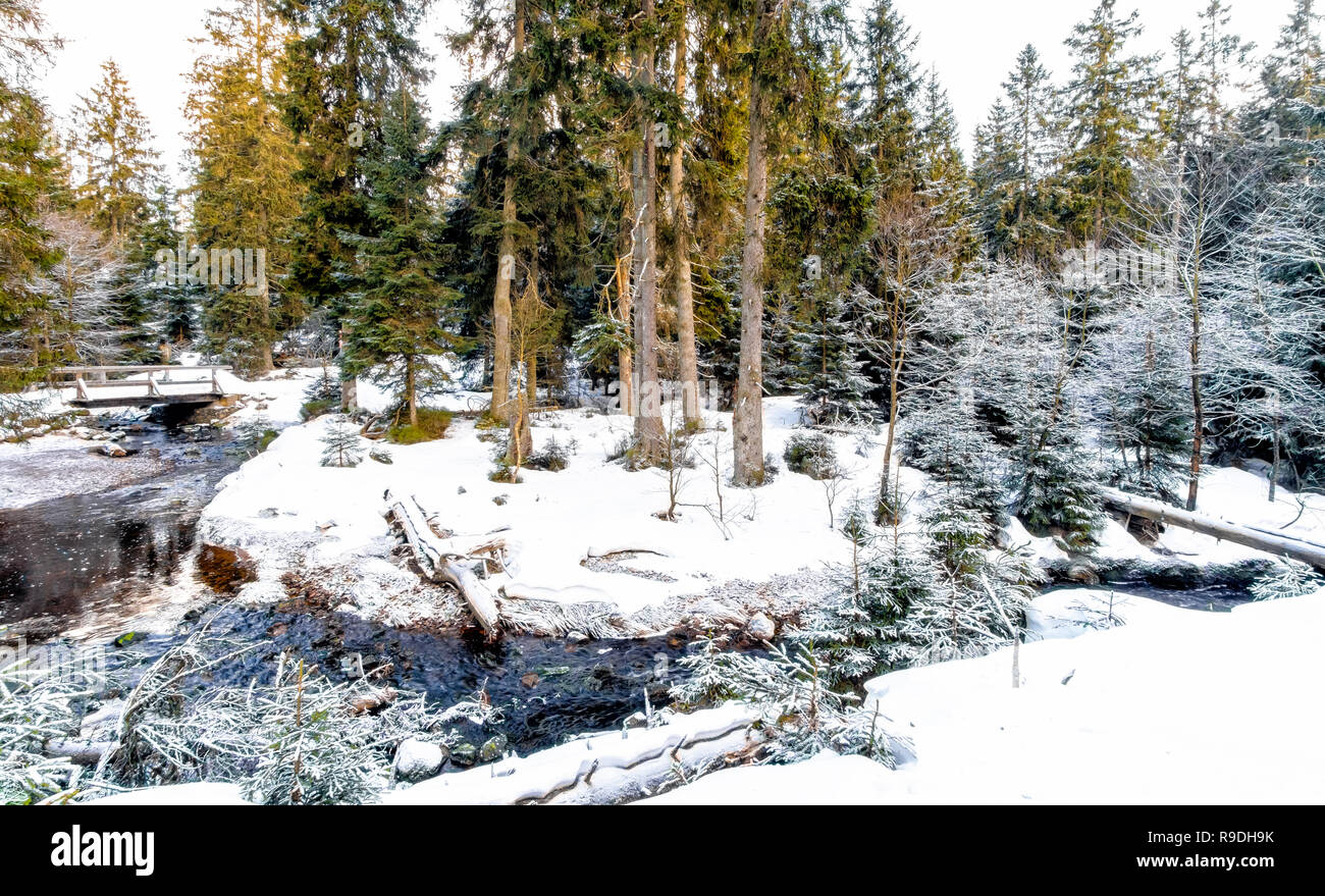 Nationalpark Harz im Winter Oderteich Stock Photo - Alamy