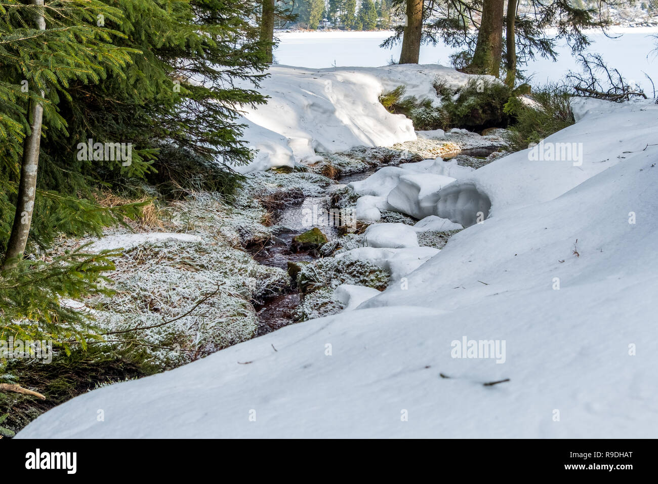 Nationalpark Harz im Winter Oderteich Stock Photo - Alamy