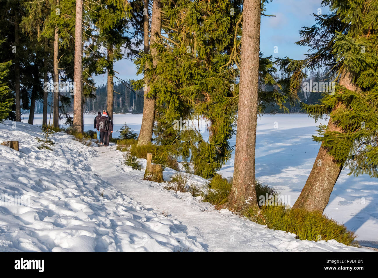 Nationalpark Harz im Winter Oderteich Stock Photo - Alamy