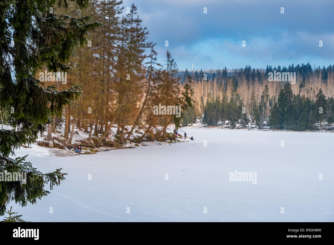 Nationalpark Harz im Winter Oderteich Stock Photo - Alamy