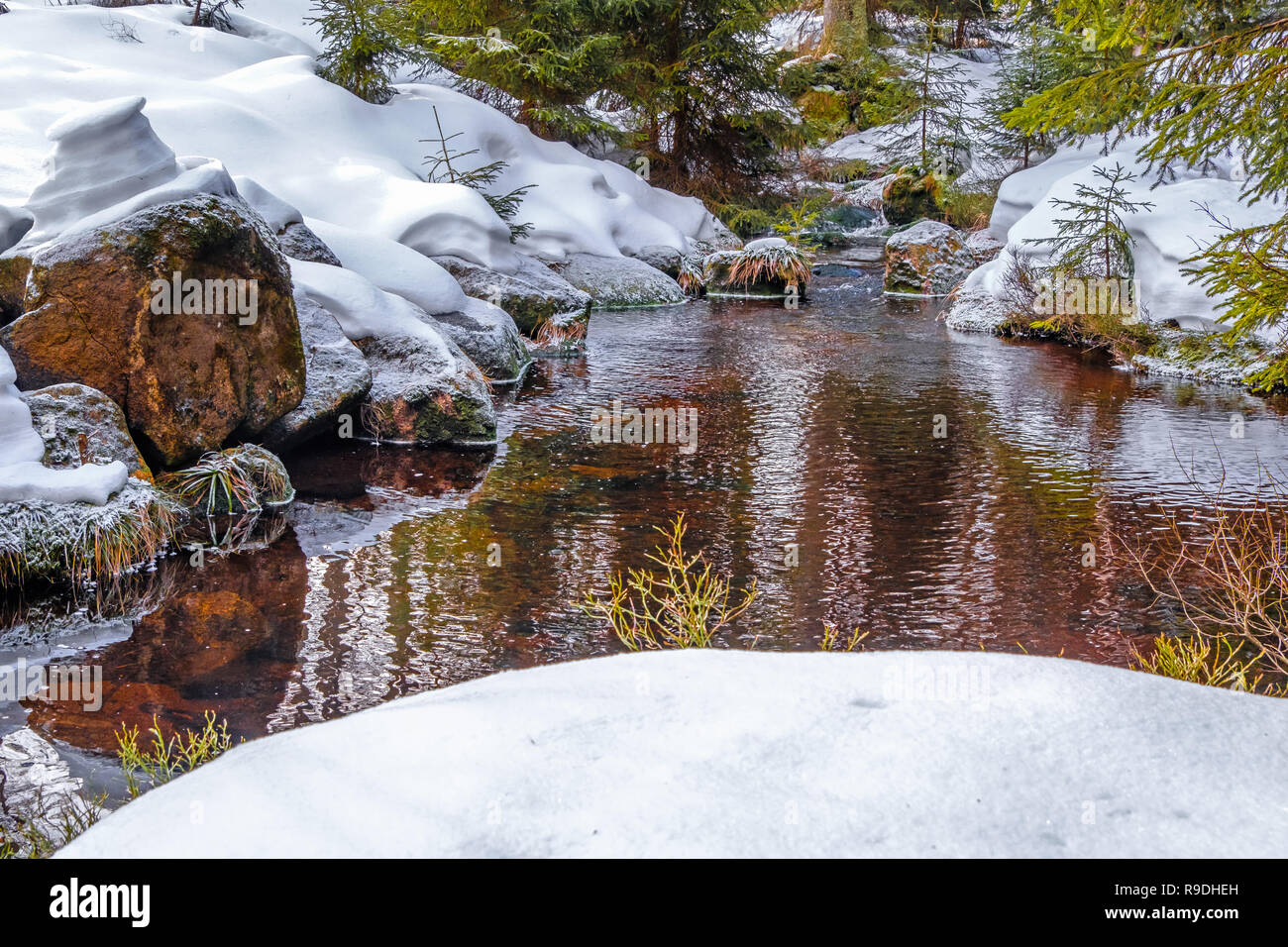 Nationalpark Harz im Winter Oderteich Stock Photo - Alamy