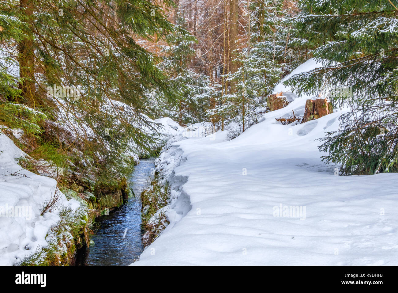 Nationalpark Harz im Winter Oderteich Stock Photo - Alamy