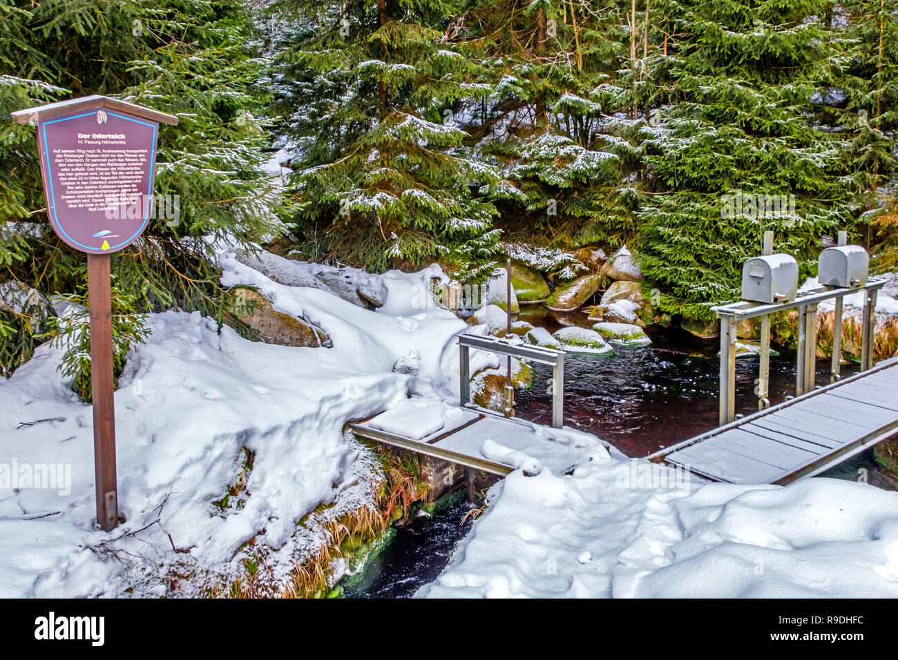 Nationalpark Harz im Winter Oderteich Stock Photo - Alamy