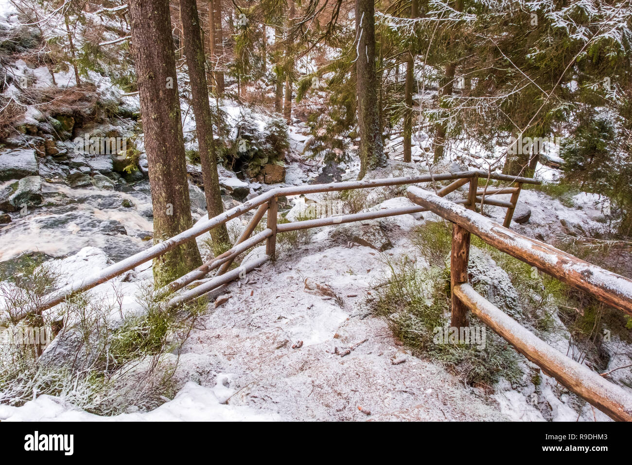 Nationalpark Harz im Winter Oderteich Stock Photo - Alamy