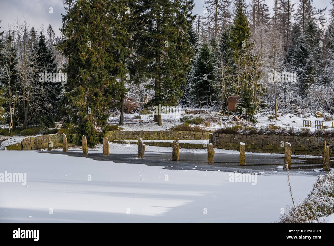Nationalpark Harz im Winter Oderteich Stock Photo - Alamy